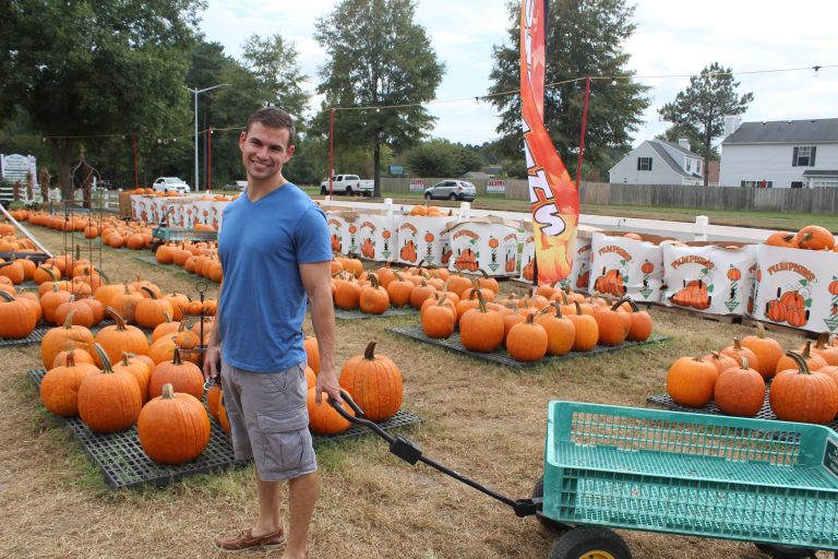 The Surprising Thing that Happened at the Pumpkin Patch – Chasing Chelsea