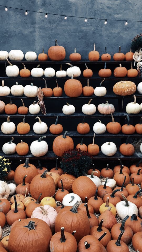 21 Aesthetic Fall Iphone Wallpapers You Need for Spooky Season ...
